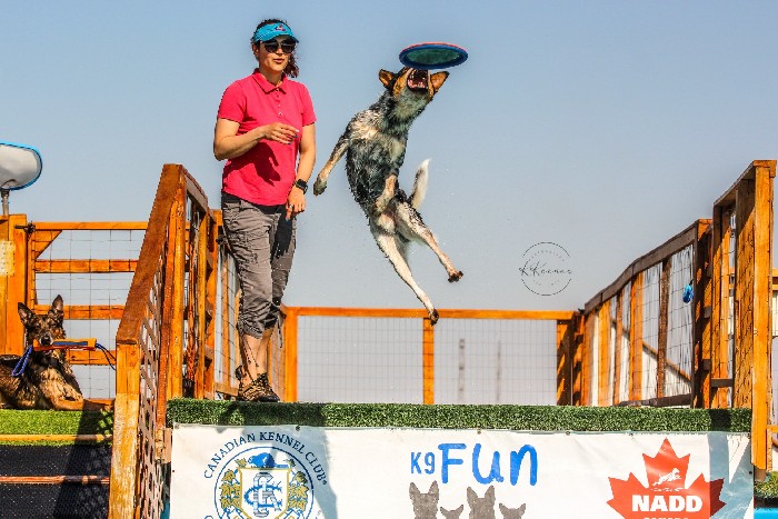 Dock DIving Pool :: K9 Fun Centre